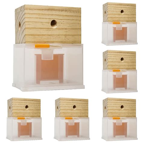 Carpenter Trap Wood Boring Trap Unique Catch And Release Outdoor