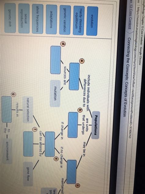 Connecting The Concepts Macroevolution