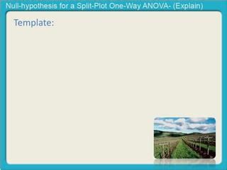Null Hypothesis For Split Plot ANOVA PPTX