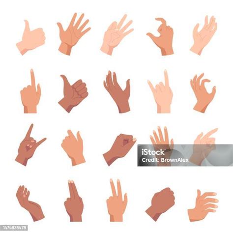 만화 손 포즈 잡고 가리키고 제스처처럼 다양한 사람들이 손 주먹과 손바닥 위치와 표지판 여자 팔 수 벡터 세트 가리키기에 대한 스톡 벡터 아트 및 기타 이미지 Istock
