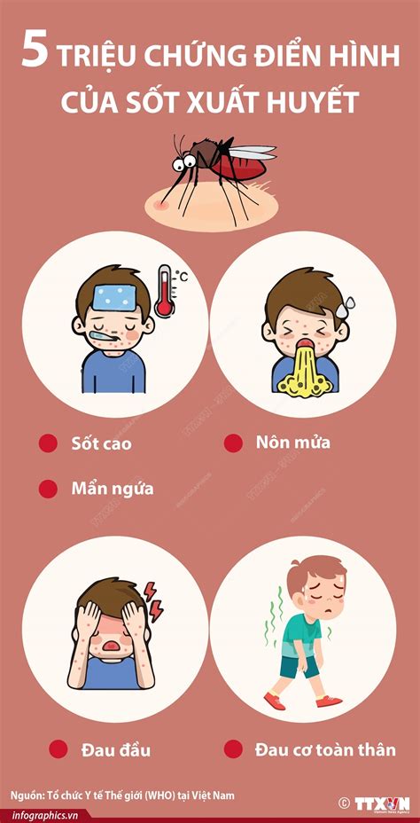 Triệu Chứng Điển Hình Của Sốt Xuất Huyết Phát Hiện Sớm Và Phòng Ngừa
