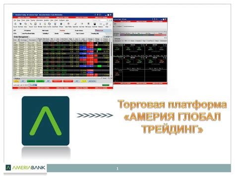 PPT - Торговая платформа «АМЕРИЯ ГЛОБАЛ ТРЕЙДИНГ» PowerPoint ...