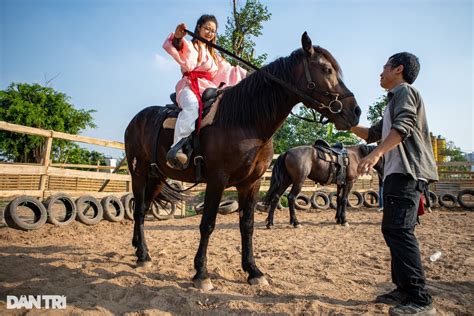 Người Trẻ Hà Nội Chi Tiền Triệu Mặc Cổ Phục Học Cưỡi Ngựa Bắn Cung Voz