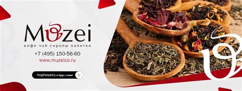 ELEPHANT-tea - Би Ло Чунь от Le Petit Elephant Чайные плантации Би Ло ...