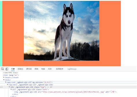 angular从0到1：样式 css 的使用 上 longkui 博客园