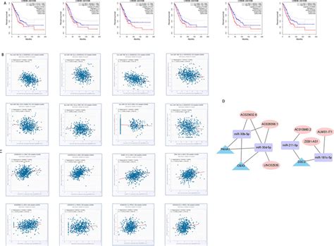 Identification Of Potential Upstream Lncrnas In Lung Adenocarcinoma