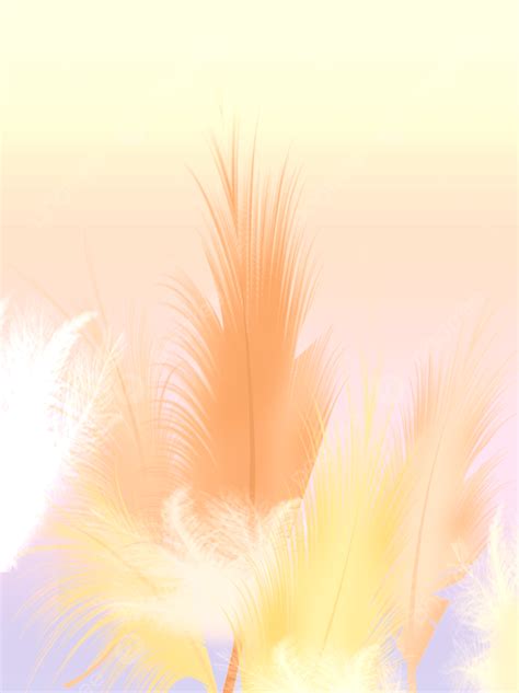 Abstract Light Colored Soft Fog Feather Background Abstract