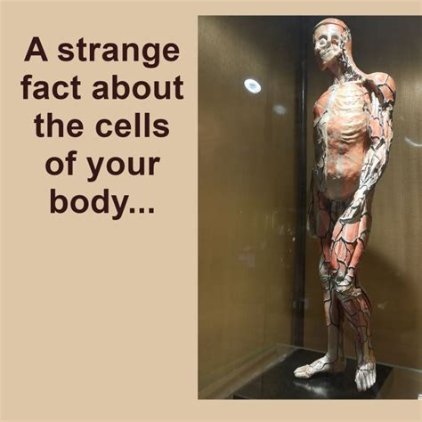Jeff Napier On Linkedin Anatomy Humananatomy Physiology Medicine
