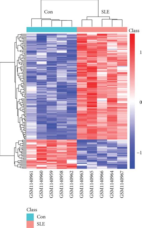 Heat Map Of Hierarchical Clustering Analysis For The Degs Between Sle