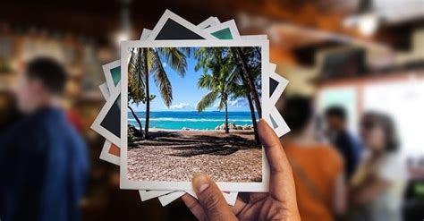 Where To Find Demo Content For Your Wordpress Website Mh Themes