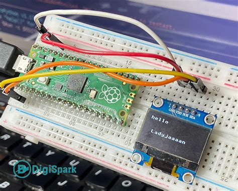 راه اندازی نمایشگر OLED با رزبری پای پیکو PICO و میکروپایتون دیجی اسپارک