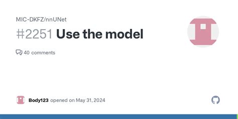 Use The Model · Issue 2251 · Mic Dkfznnunet · Github