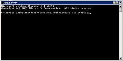 Berke Öz Oracle Fusion Middleware Oracle Business Intelligence 11g