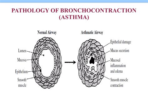 Bronchodilators Odp