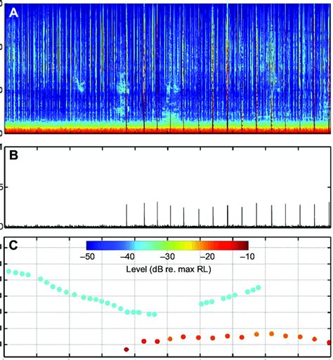 Identification Of Echolocation Clicks Produced By Tagged Grampus Download Scientific Diagram