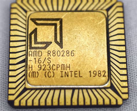 The Oldest Of My Amd Cpu Collection Amd