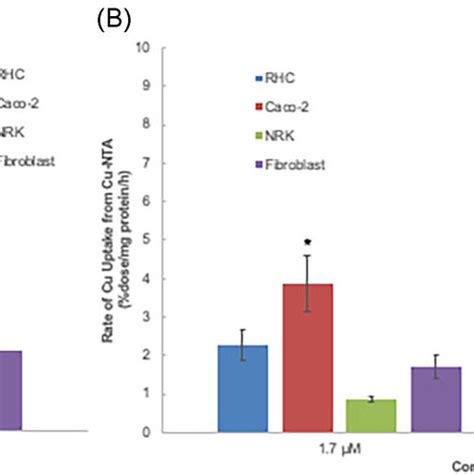 Relative Rates Of 67 Cu Uptake From Scc By Different Cell Types A Download Scientific