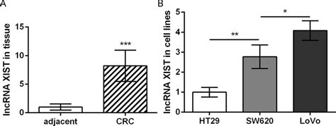 The Expression Of Long Noncoding Rna Lncrna X Inactive Specific