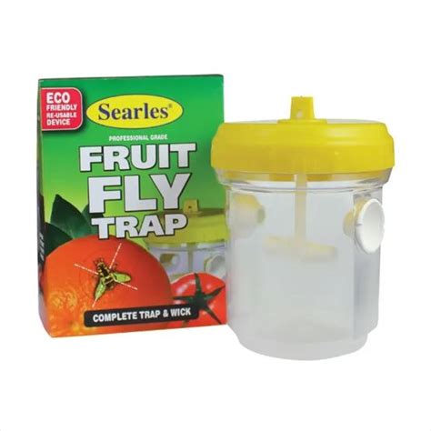 Fruit Fly Trap Searles Lee Rowans Gardenworld