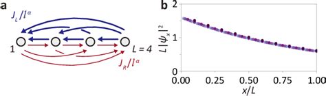 Figure 1 From Scaling Laws For Non Hermitian Skin Effect With Long