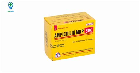 Ampicillin Mekophar là thuốc gì Công dụng cách dùng và lưu ý khi dùng YouMed