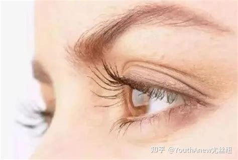去皱要及时减少细纹小妙招安排 知乎