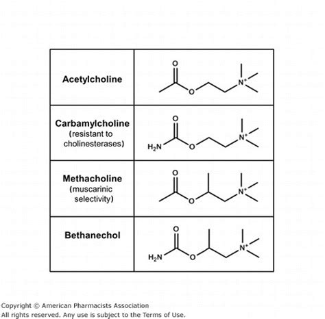 Methacholine Structure