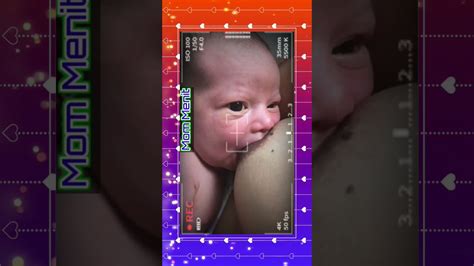 Beautiful Breastfeeding Vlog Mom Menit 03 Shorts Youtube