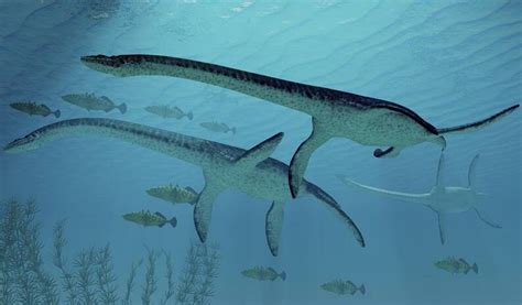 Dinossauros Aquáticos Características Nomes E Mais