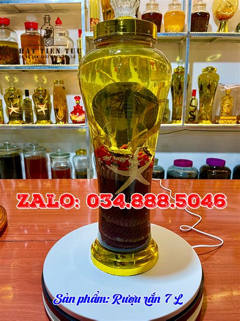 Khám Phá Rượu Rắn Đen 7 Lít Thần Dược Đông Y Cho Phái Mạnh