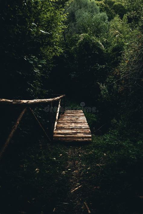 Scary Path With Wooden Bridge Going Trough A Dark Forest Stock Image