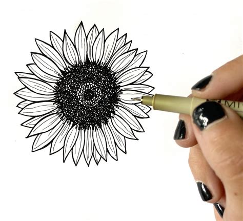 How To Draw A Sunflower Step By Step