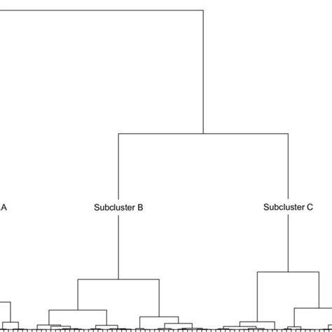 Hierarchical Cluster Analysis Dendrogram Showing Sample Plots Drawn