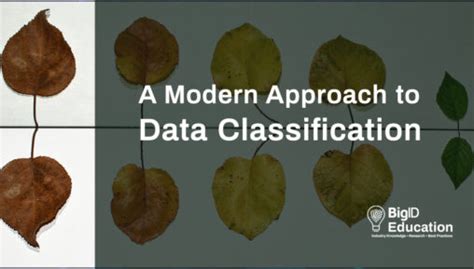data discovery and classification tackling the ciso s visibility