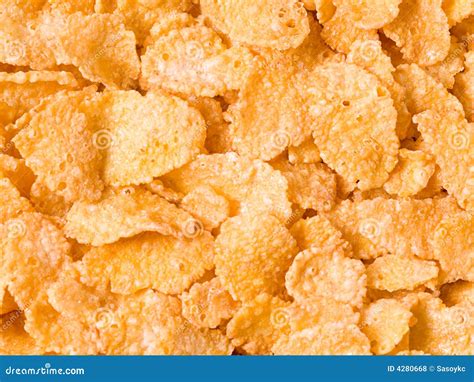 Cornflakes Stock Photo Image Of Food Flake Vitamins 4280668