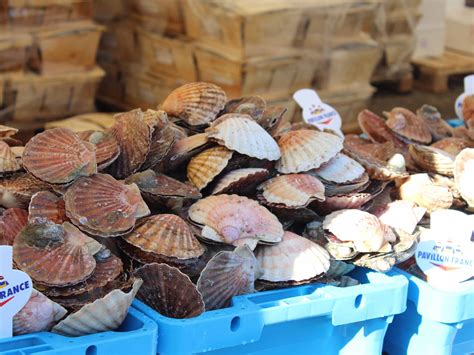 La Fête De La Coquille Saint Jacques Office De Tourisme De Villard De Lans Corrençon En Vercors