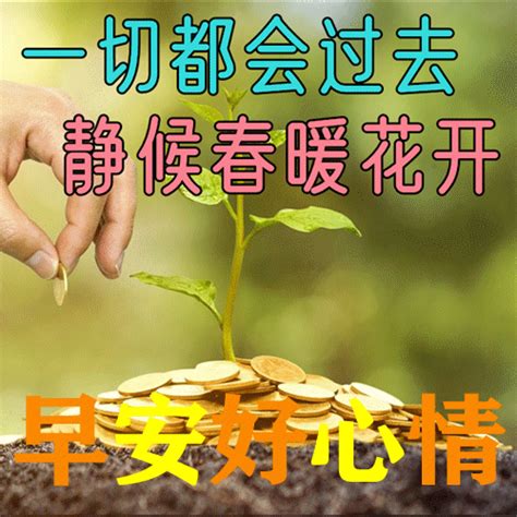 早上好表情包 新的一天 祝福送上 愿你健康 愿你幸福