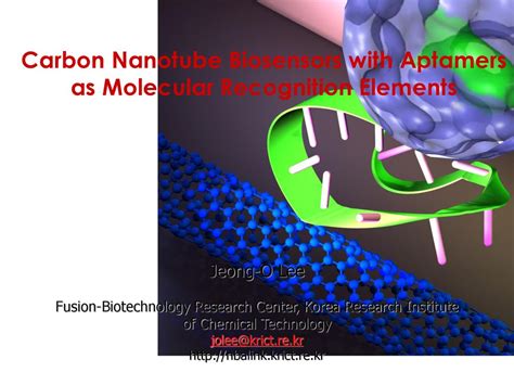 Carbon Nanotube Biosensors With Aptamers As Molecular Recognition