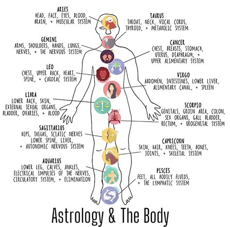 The Hidden Power Of Your Moon Sign Understanding Where You Store And