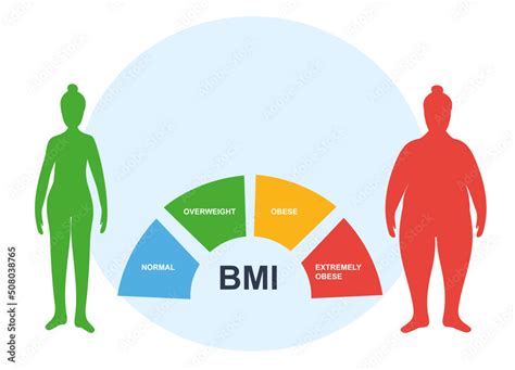 Flat Illustration Body Mass Index Chart With Normal Overweight Obese