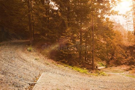 Autumn Scene Stock Image Image Of Nature Sunlight 255328493