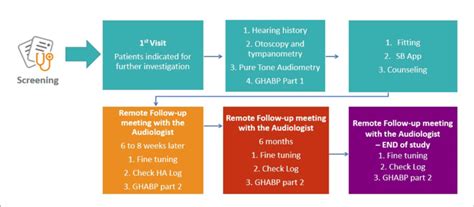 Figure Audiological Assessment Flow Of Action Download Scientific