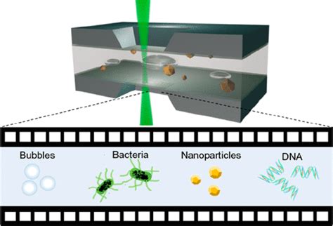 Characterization Of Nanomaterials Using In Situ Liquid Cell Transmission Electron Microscopy A