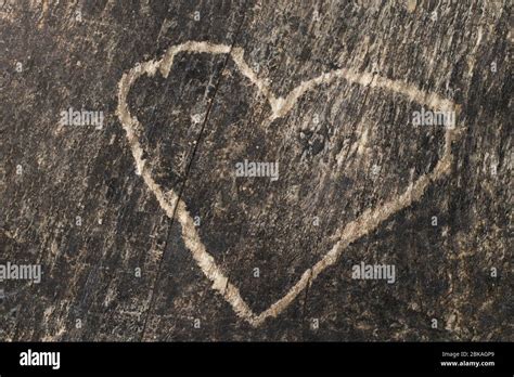 Heart Carved In The Bark Of A Tree Love Concept Stock Photo Alamy