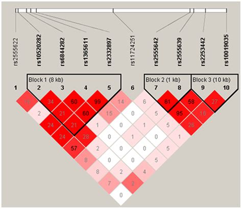 Linkage Disequilibrium Ld Plot Of Genotyped Snps Ld Plot Of All Snps