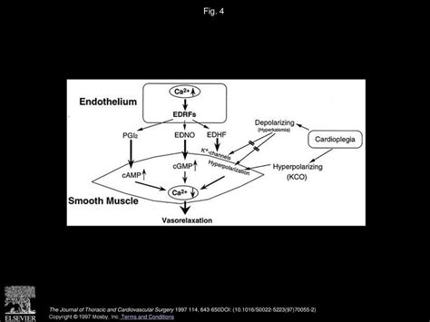 Superiority Of Hyperpolarizing To Depolarizing Cardioplegia In