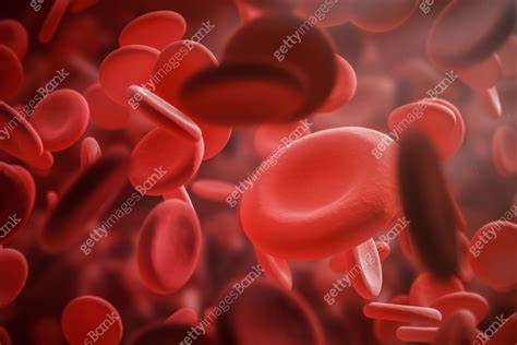 Red Eritrosit Blood Count Medical Concept 이미지 1057632348 게티이미지뱅크