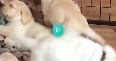 Snuggle Time Album On Imgur