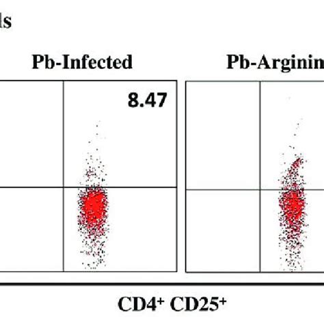 Enumeration Of Treg Cells Presence Of Treg Cells Was Determined By