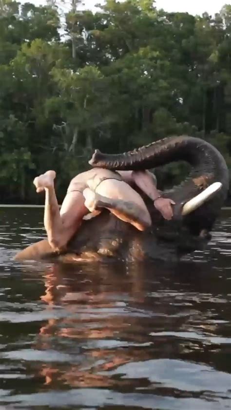 Adam Scherr Wikifeet Men